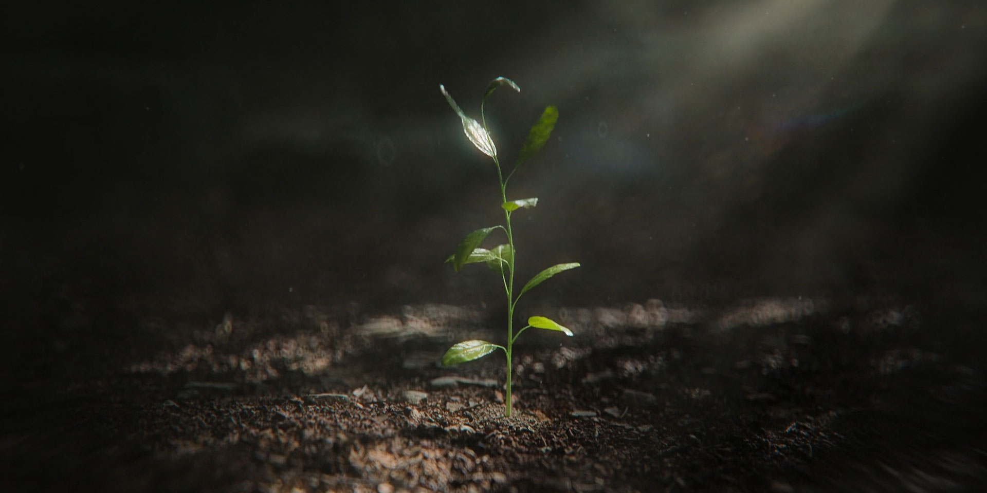 Life On Our Planet "Title Sequence" | PULK